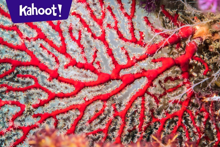 IB ESS Topic 1: Foundations - Kahoot! Quiz