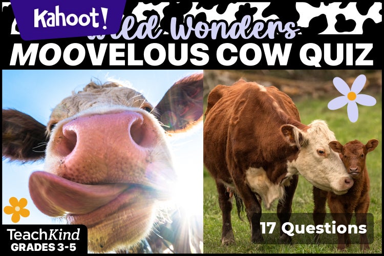MOOvelous Cow Quiz! (3–5) - Kahoot! Quiz