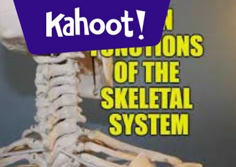 Functions of the Skeleton - Kahoot! Quiz