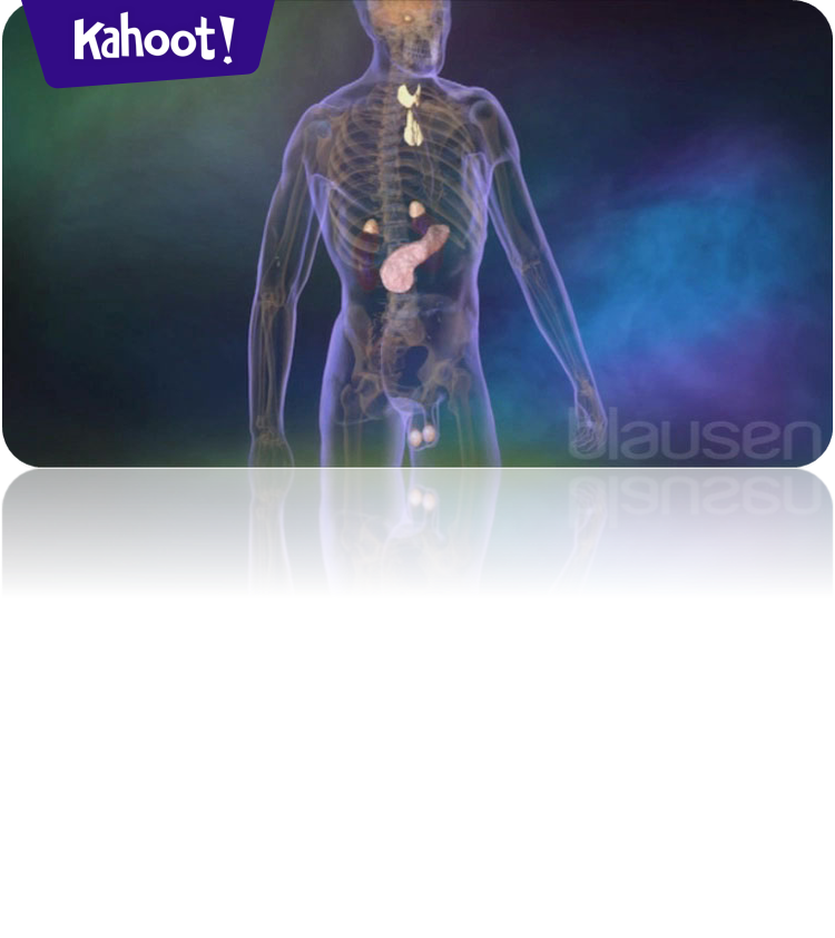 Endocrine Function & Homeostasis - Kahoot! Quiz
