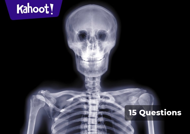 Mr Porter Bones and skeleton - Kahoot! Quiz