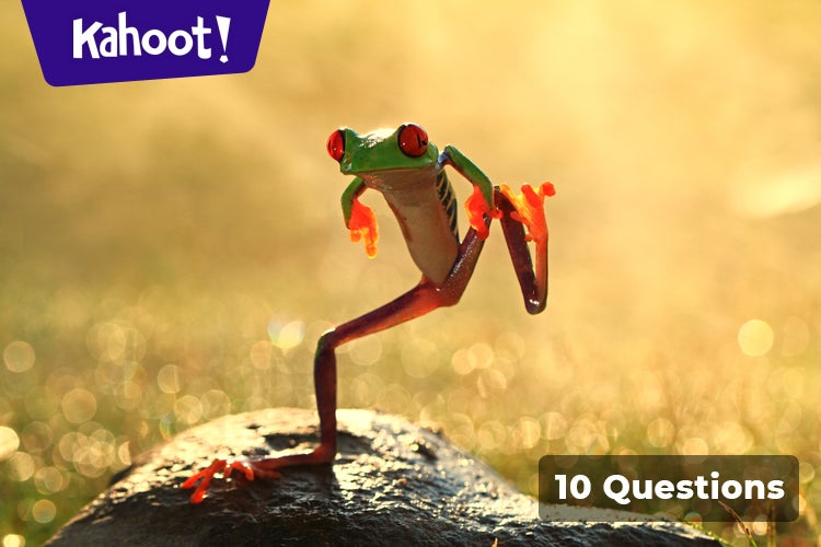 Weird Animal Facts - Kahoot! Quiz