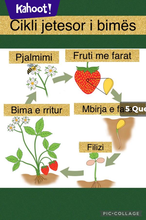 CIKLI JETESOR I BIMEVE - Kahoot! Quiz