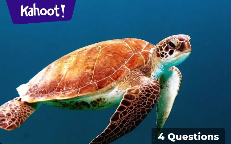 Sea Turtles with Disney - Kahoot! Quiz
