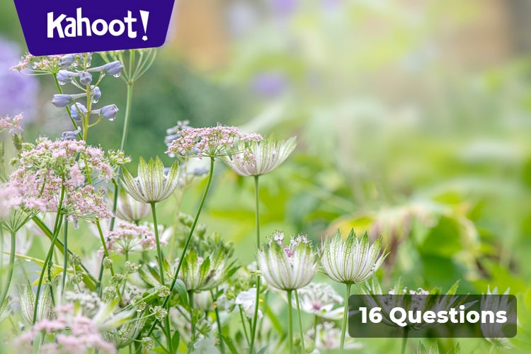 Plant Evolution 1 - Kahoot! Quiz