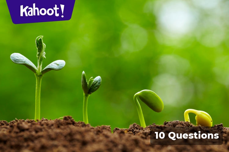 Plants - Kahoot! Quiz