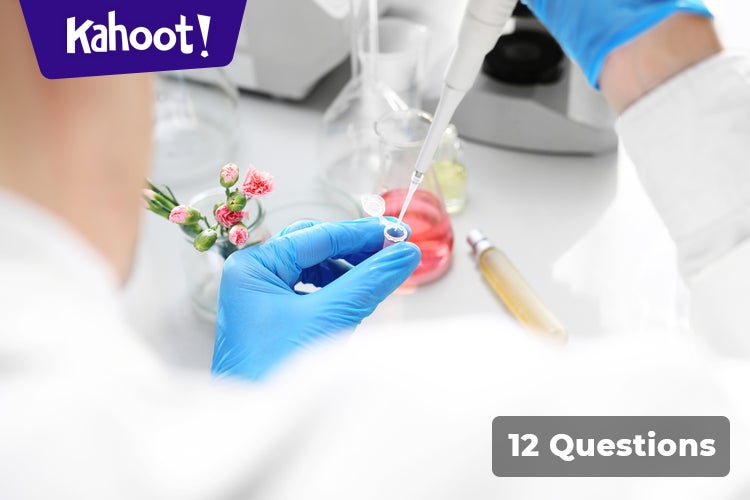 Chemistry: Balancing Equations Basics - Kahoot! Quiz