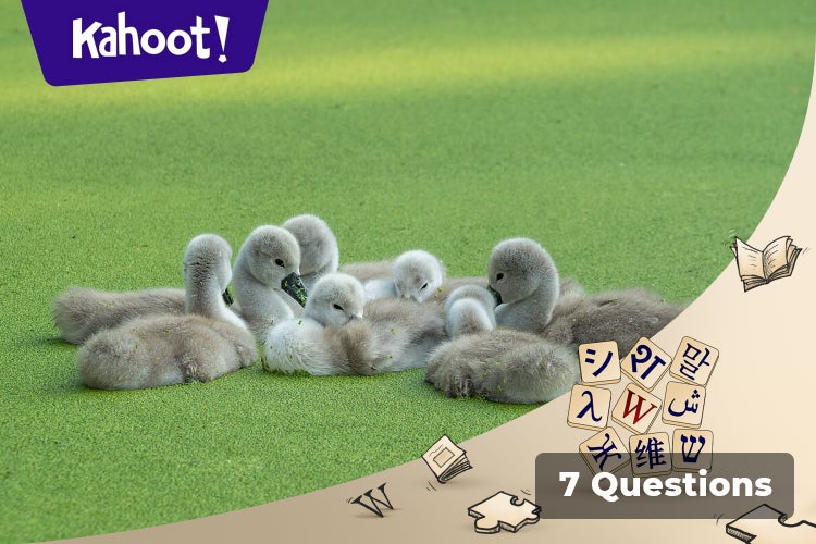 Animals in spring - Kahoot! Quiz