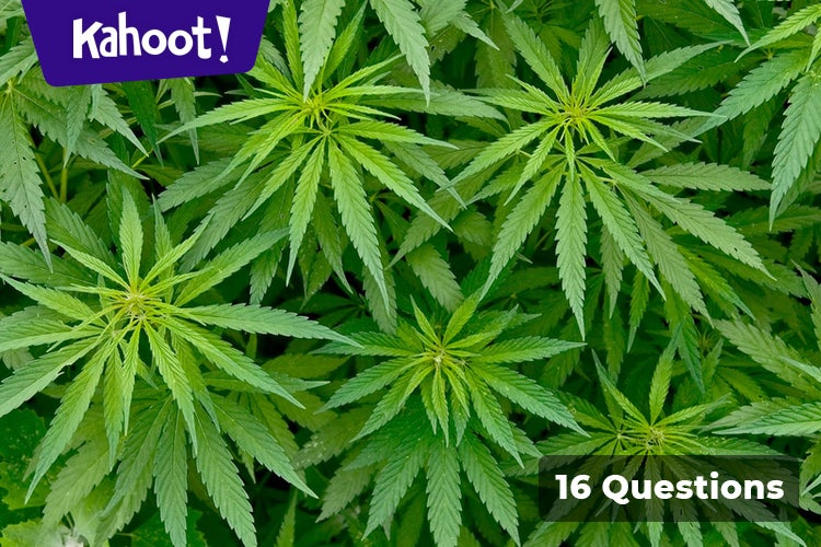 Marihuana / Cannabis :) - Kahoot! Quiz