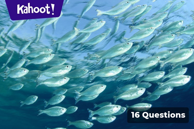 Aquaculture: ESS topic 4.3 - Kahoot! Quiz