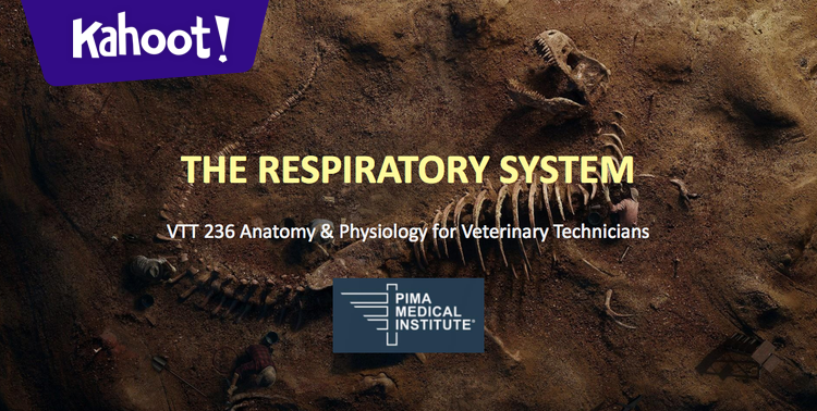Duplicate of A&P Respiratory System - Kahoot! Quiz