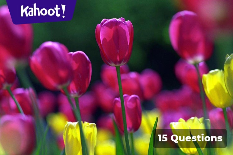 Spring Holidays - Kahoot! Quiz