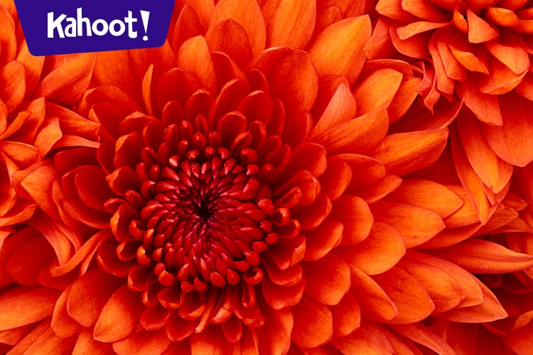 Civil Rights Movement/ Vietnam War Review - Kahoot! Quiz