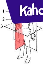 Intro to Anatomy Review - Kahoot! Quiz