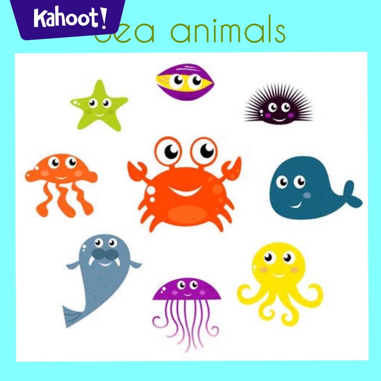 What color is the octopus? - Kahoot! Quiz