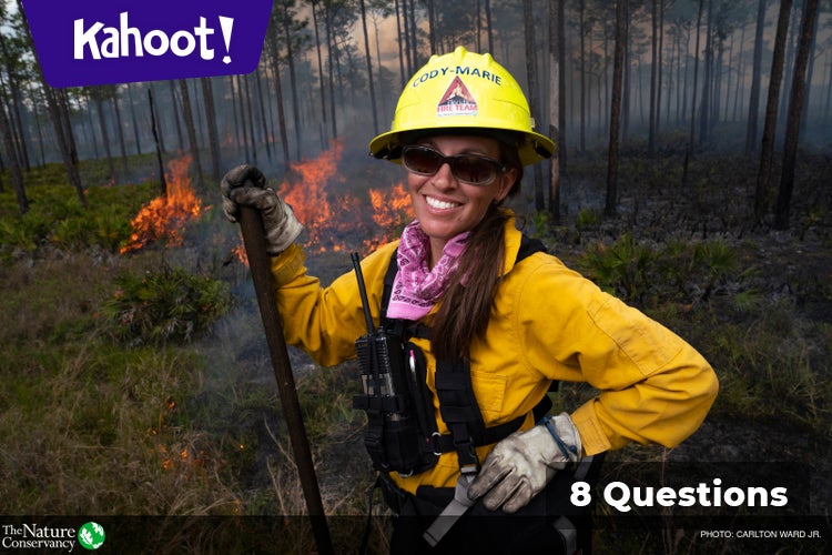 How Fire Positively Impacts an Ecosystem - Kahoot! Quiz