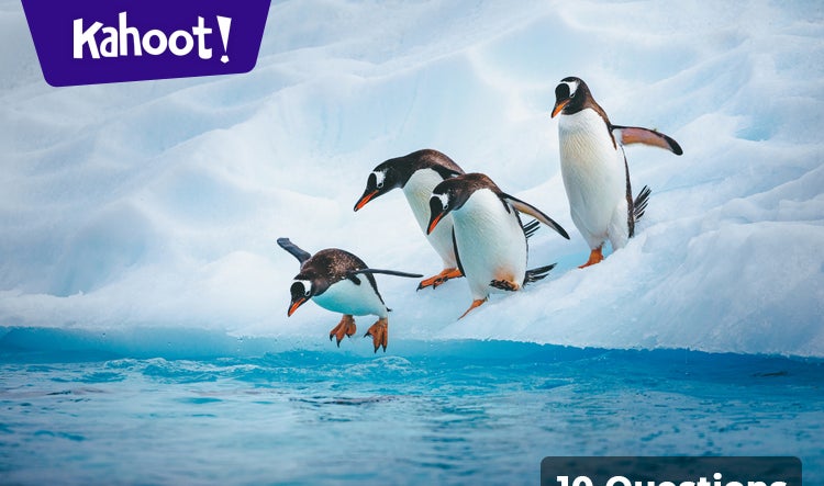 Ice Cube - Python Coding Class (Level 1) - Class 2 - Kahoot! Quiz