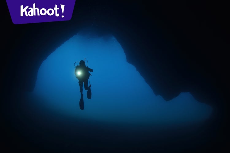 E3f Unit 8 Vocabulary And Functions Kahoot Quiz