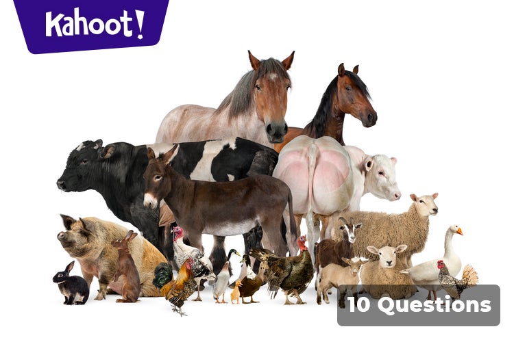 Bonus Words Types of Animals and more - Kahoot! Quiz