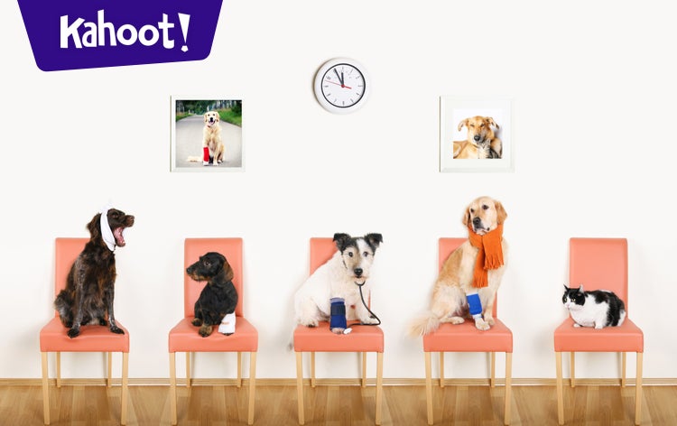 animals - Kahoot! Quiz