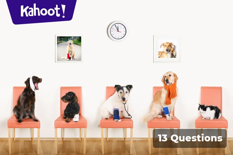 Animals - Kahoot! Quiz