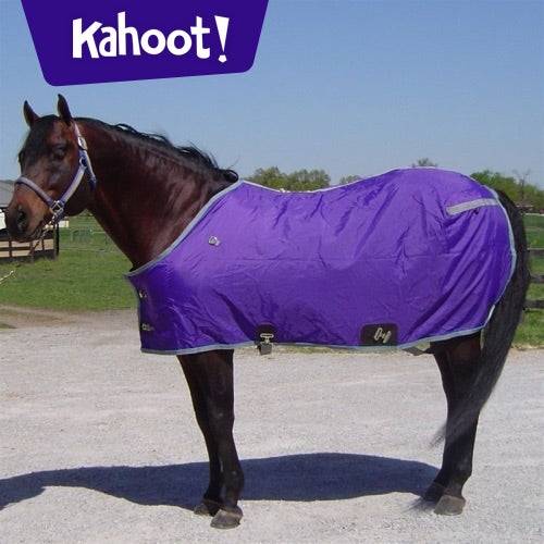 Horse Evaluation ID Set 2 SC FFA CDE - Kahoot! Quiz