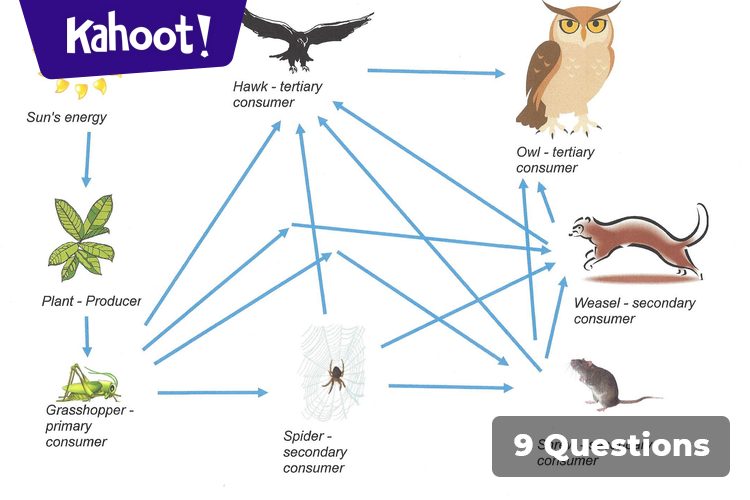 Ecosystem Interactions - Kahoot! Quiz