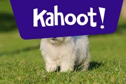 Fun Multiplication and Division Facts - Kahoot! Quiz