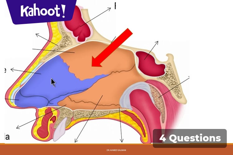 Dental nose - Kahoot! Quiz