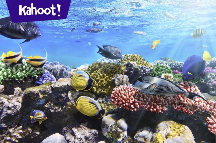 ES Ch 7 Aquatic Ecosystems - Kahoot! Quiz