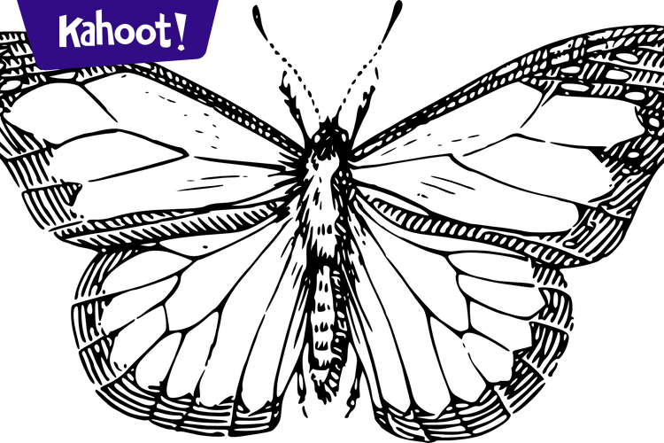 Drawing Final - Kahoot! Quiz