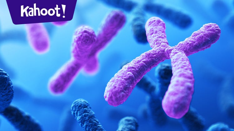 Biology: Genetics - Kahoot! Quiz