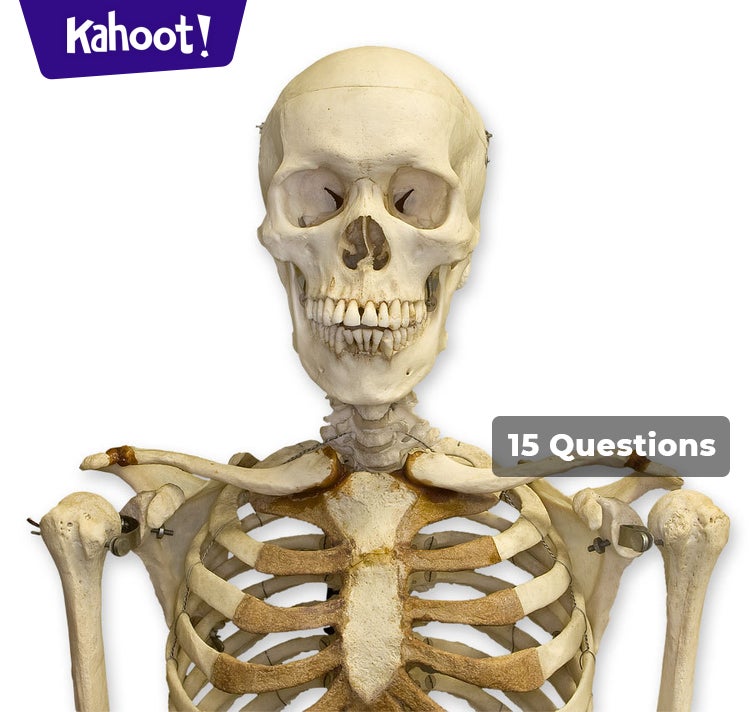 SGES Science Skeleton - Kahoot! Quiz