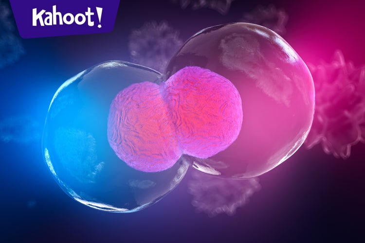 Molecular Bio: The Cell Cycle - Kahoot! Quiz