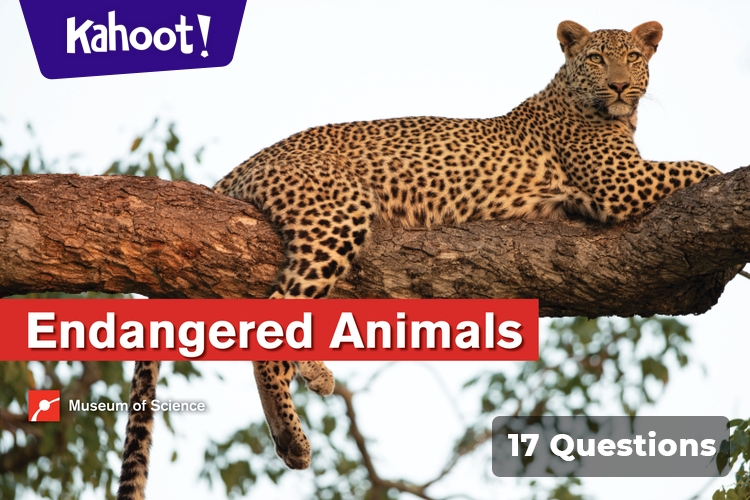 Endangered Animals - Kahoot! Quiz