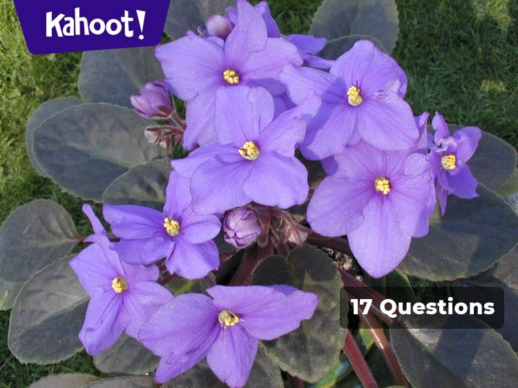 Our Plants: Reproduction of Plants - Kahoot! Quiz
