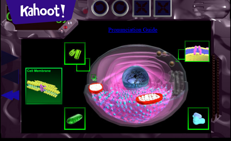 Cell Theory and Organelles - Kahoot! Quiz