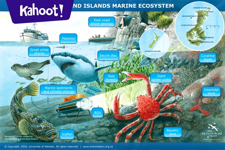Ecosystems and the Everglades - Kahoot! Quiz