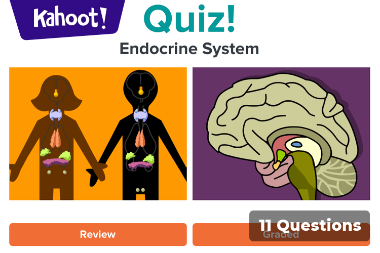 BrainPOP: Endocrine System - Kahoot! Quiz
