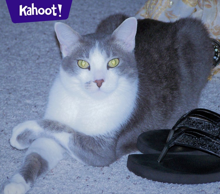 Past Tense - Kahoot! Quiz