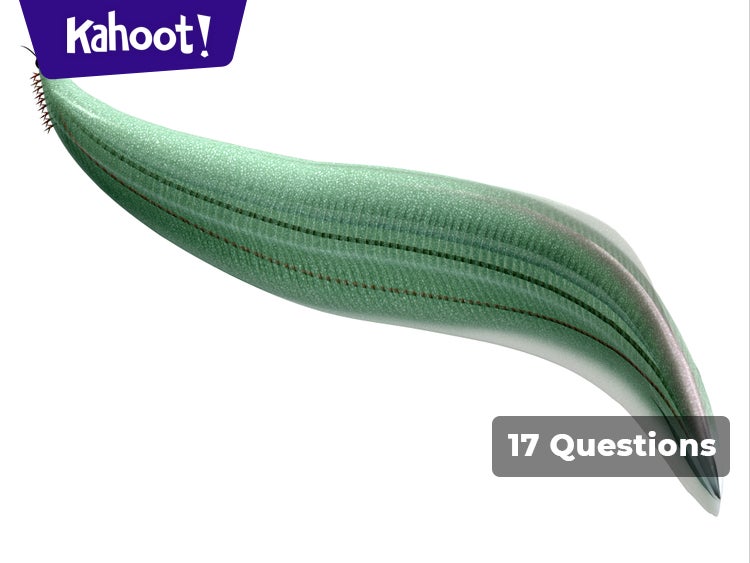 Vertebrate Evolution - Kahoot! Quiz