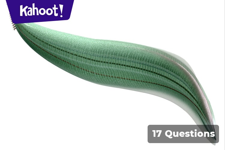 Vertebrate Evolution - Kahoot! Quiz