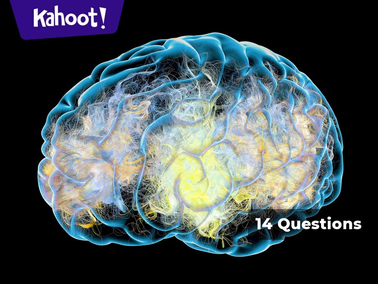 ADHD is a Performance Condition & The Brain's Reward Center - Kahoot! Quiz