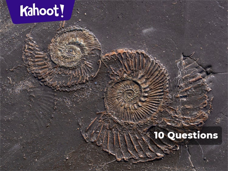 Fossils (CK) - Kahoot! Quiz