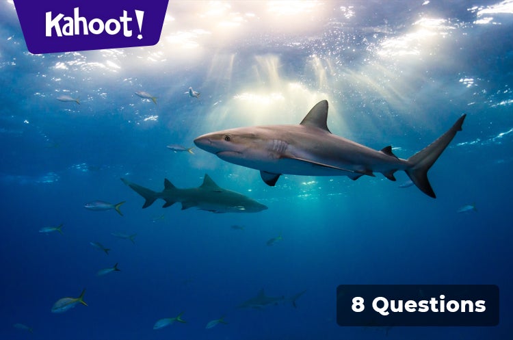 Matter - Kahoot! Quiz