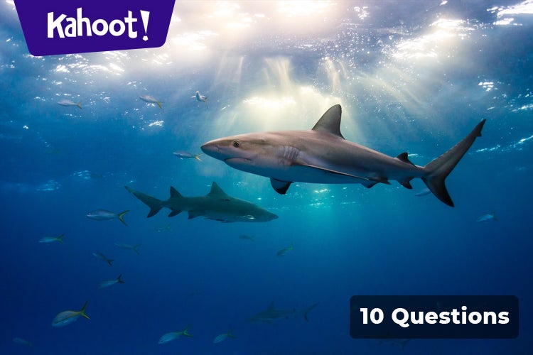 Evolution - Kahoot! Quiz