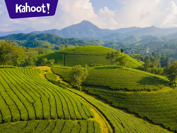 123 ENGLISH PLACEMENT TEST 2 INTERMEDIATE LEVEL - Kahoot! Quiz