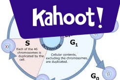 IB Cell Cycle and Mitosis - Kahoot! Quiz
