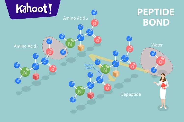 Protein Structure and Enzymes (Lecture 6) - Kahoot! Quiz