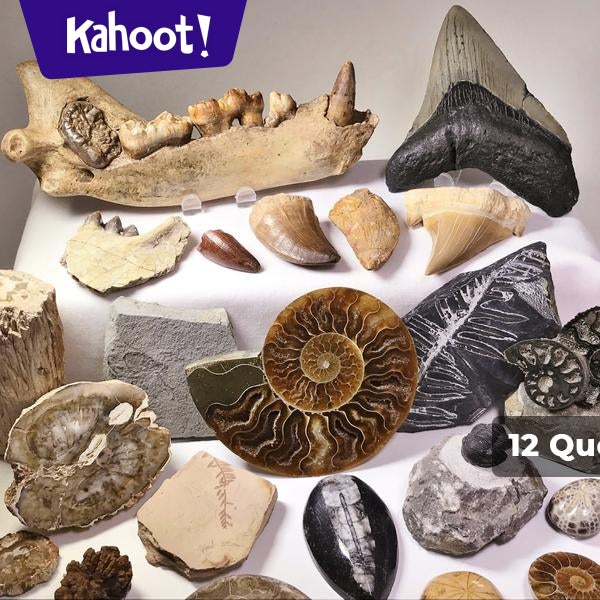 Fossils Omiros Summer Camp 2019 - Kahoot! Quiz